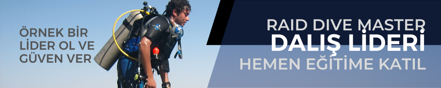 RAID Divemaster Diver • Dive Master • Dalış Lideri • Dalış Eğitimi • Dalış